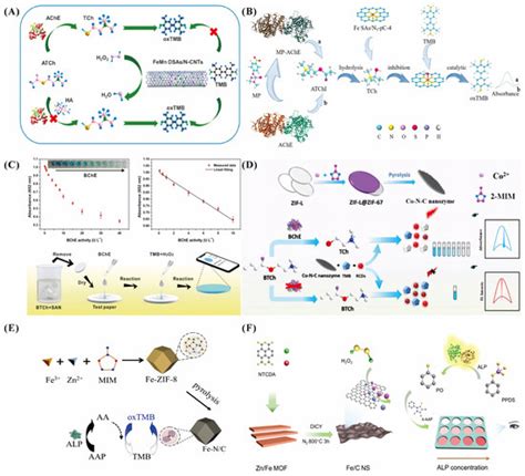 Advancements And Applications Of Single Atom Nanozymes In Sensing Analysis