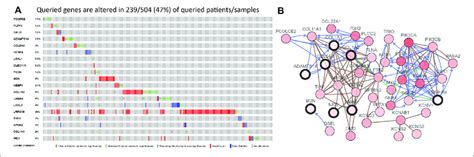 The Results Of The Cbioportal Analysis A The 20 Key Genes Were