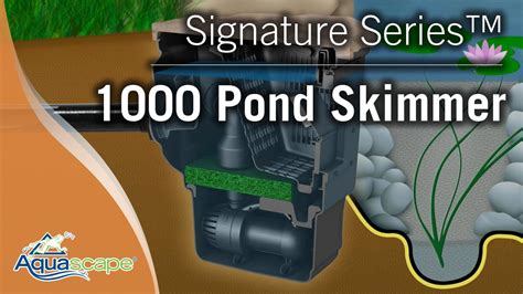 Jebao Sk 40 Floating Pond Skimmer 790gph For Sale Jebao Sk 40 Floating