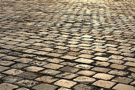 Overlap Tiles Radial Pavement Mosaic Pattern In Vectorized Black And