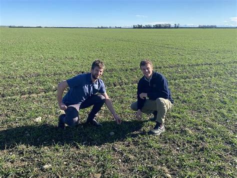 mpi expands on farm support science scholarship programme nz herald
