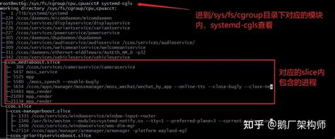Cgroup使用介绍 知乎