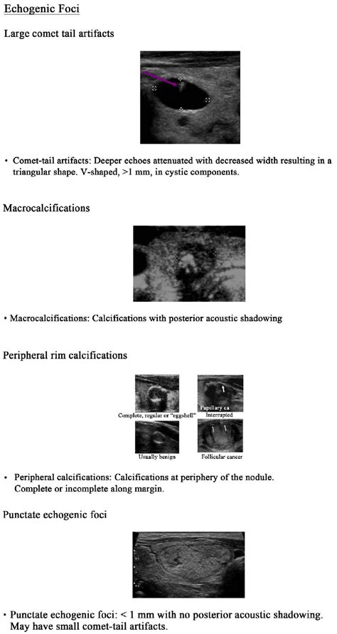 Screen Capture Of An Example Of The Images And Description For Each Of Download Scientific