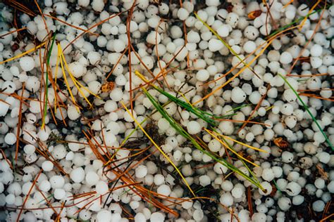 매크로에서 지상에 우박입니다 큰 환영 클로즈업입니다 우박의 자연 배경입니다 식물 중 떨어지는 우박 비정상적인 강 수입니다 비정상적인 비입니다 복사 공간 자연입니다 놀라운