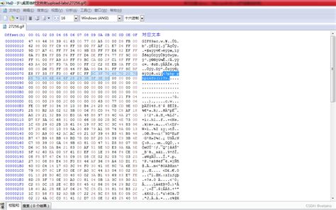 Upload Labs第17关 二次渲染 图方法图片二次渲染vetains的博客 Csdn博客