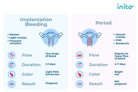 Difference Between Implantation And Period Bank Home