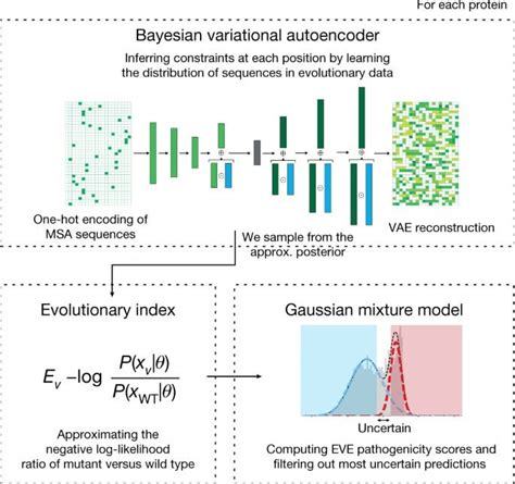 Disease Variant Prediction With Deep Generative Models Of Evolutionary Data Datascience