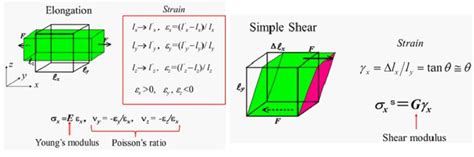 Viscoelastic Properties Of Biological Materials Intechopen