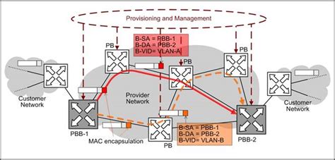 Provider Backbone Bridge Traffic Engineering Pbb Te And Provider