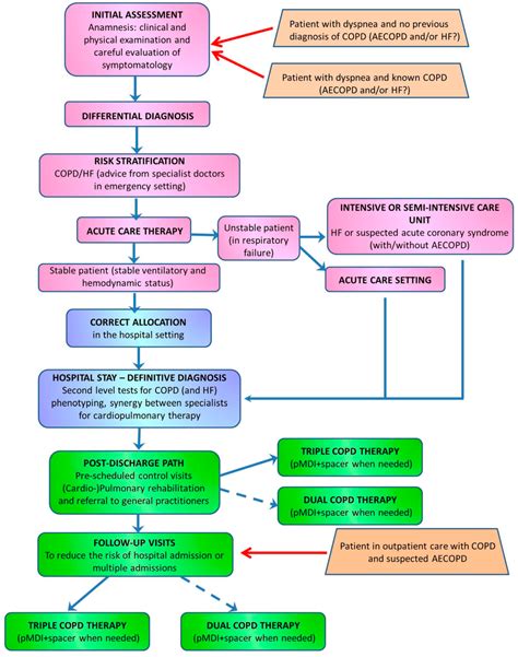Flowchart Summarizing The Path For Differential Diagnosis Of Copd And