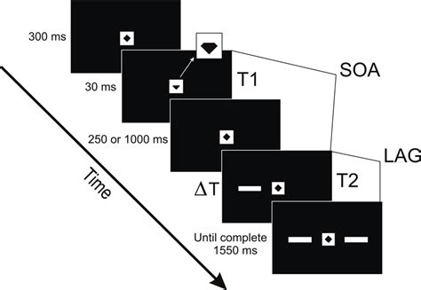 Temporal Sequence Of Experiment 1 After 300 Ms Screen Presentation Of