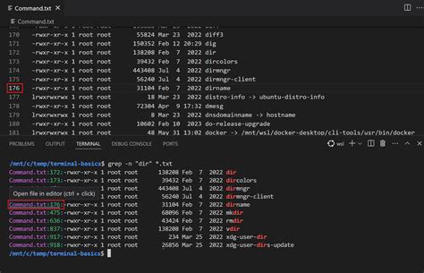 vscode 集成终端 菜鸟教程