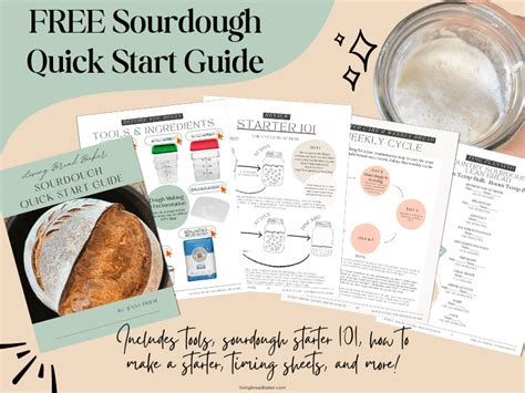Why Is My Sourdough Bread Gummy? 7 Causes and How to Fix Them - Living Bread Baker