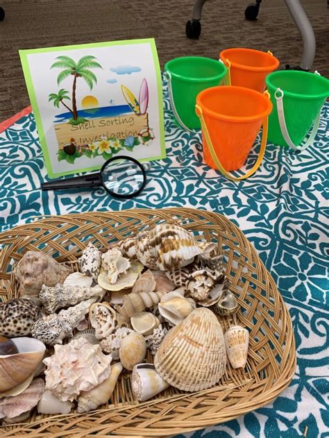Shell Sorting Activity