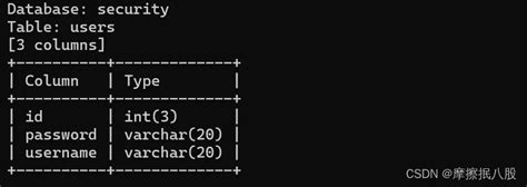 Sqlmap的下载安装和使用 Windows 技术栈