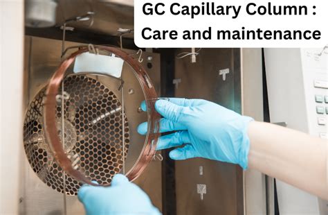 Gas Chromatography GC Capillary Columns Care And Maintenance LabVeda