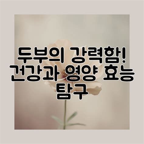 두부의 강력함 건강과 영양 효능 탐구