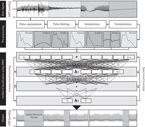 Brain Lab Publications