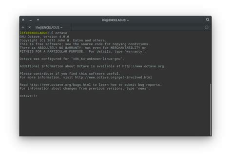 Gnu Octave For Loop Eebap