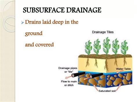 Design Of Subsurface Drainage System Pptx Gardening Home And Garden