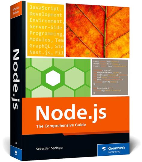Nodejs The Comprehensive Guide To Server Side Javascript Programming Rheinwerk Computing