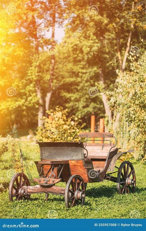 Decorative Yard Wagon On Summer Lawn Bright Sunny Day Gardening And