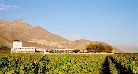 Cambios En Agrícola Santiago Queirolo Segregará Activos A 5 Firmas