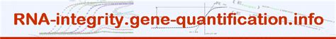 Rna Integrity And Quantification