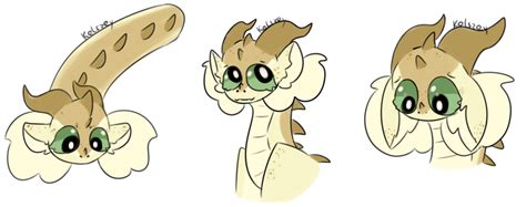 Rainwing Doodles By Kelszey On Deviantart