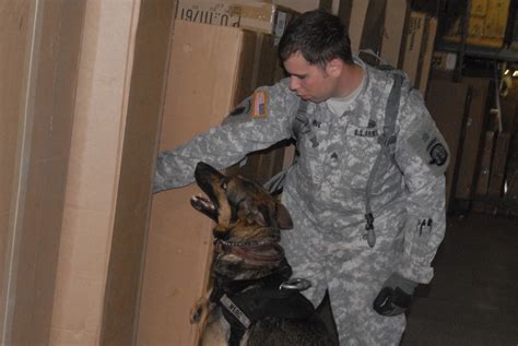 Explosive Detection Team Train At Stewart Furniture Store Article