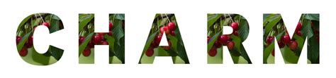 Xetex How To Get Image Based Lettering TeX LaTeX Stack Exchange