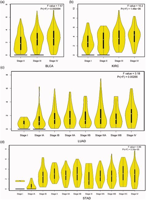 Violin Plots Showing The Comparison Of Sparc Osteonectin Cwcv And Download Scientific