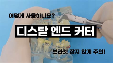 치과 신입 교육 영상 디스탈 엔드 커터 Distal End Cutter 치아교정기구 교정과 에듀식스 Youtube