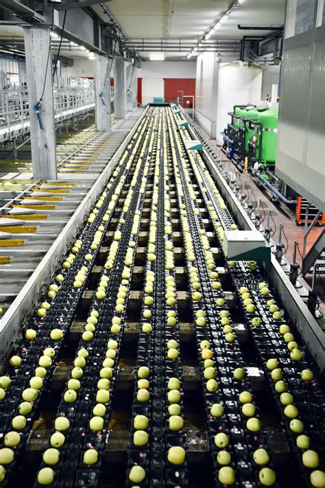 How Data Driven Process Control Cuts Spoilage Risk And Insurance Costs