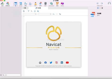 Navicat Premium Mac数据库管理开发软件 奇奇怪怪可爱 站酷ZCOOL