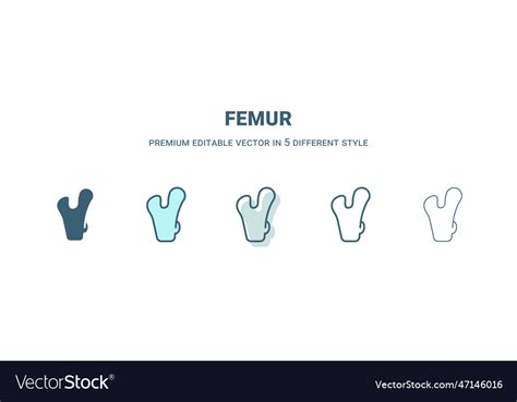 Femur icon in 5 different style outline filled Vector Image