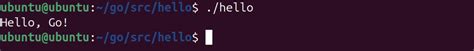 How To Install Go On Ubuntu Step By Step Cherry Servers
