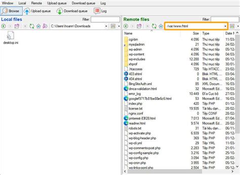 Bitvise Ssh Client Phần Mềm Quản Lý Dữ Liệu Vps Tốt Nhất Cáo Đêm