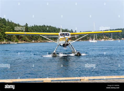 A De Havilland Dhc 3 Float Plane Of Kenmore Air Approaching The Jetty At The Float Plane Dock At