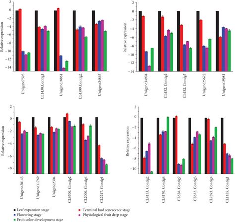 Expression Analysis Of Related Genes Of Gibberellin Biosynthesis Download Scientific Diagram