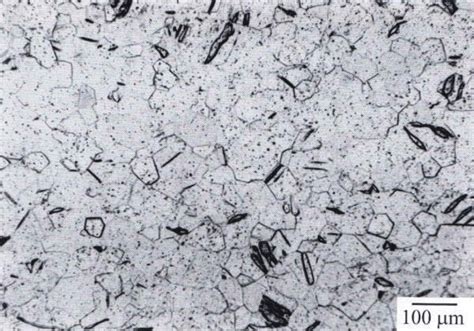 Pure Titanium Structure After Annealing For 1 Hour At A Temperature Of Download Scientific