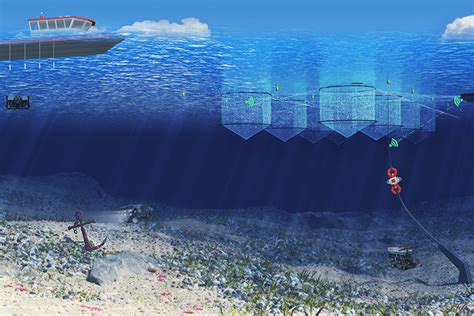 Underwater Robotics Water Linked