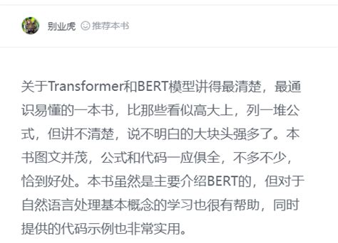 transformer和bert模型一书通关！最值得一看的书 《bert基础教程：transformer大模型实战》 csdn博客