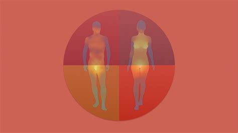 The Sexual Energy Quadrant Creativity Passion Playfulness And Confidence Michael H Hallett