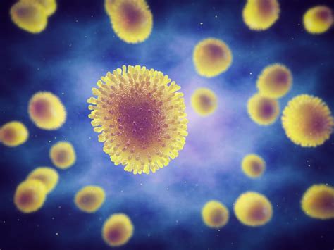 Uf Ifas Researcher Stresses Importance Of Pasteurization News