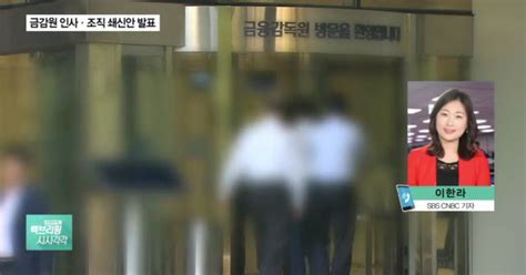 금감원 채용시스템 전면 개편비위 임원 제재 강화