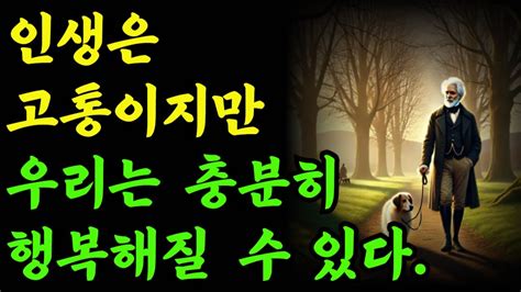 인생은고통이지만 우리는 충분히 행복해질 수있다 쇼펜하우어오디오북철학과지혜노자공자옛성인들의지혜반복노후 인생 철학 Youtube