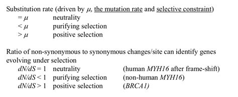 Solved What Is The Difference Between Substitution Rate And