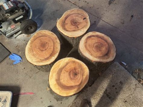 TREE LIFE TREE CARE Updated September 2025 Topeka Kansas Tree Services Phone Number Yelp