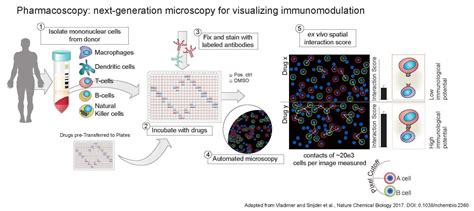 Graphical Abstract Of The Phar [image] Eurekalert Science News Releases